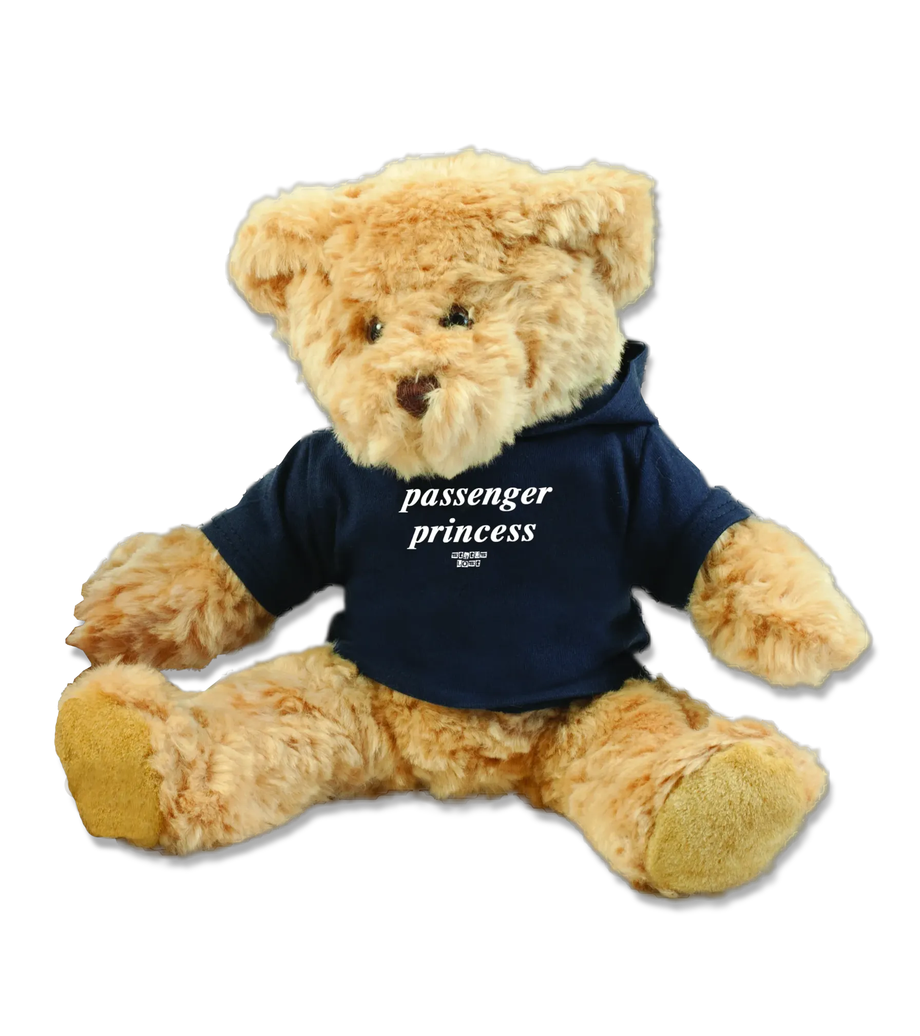 "PASSENGER PRINCESS" Teddy Hoodie – Status Lost